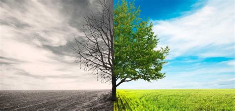 Environmental Concerns Are More Important To This Years Graduating Class Than Ever Before