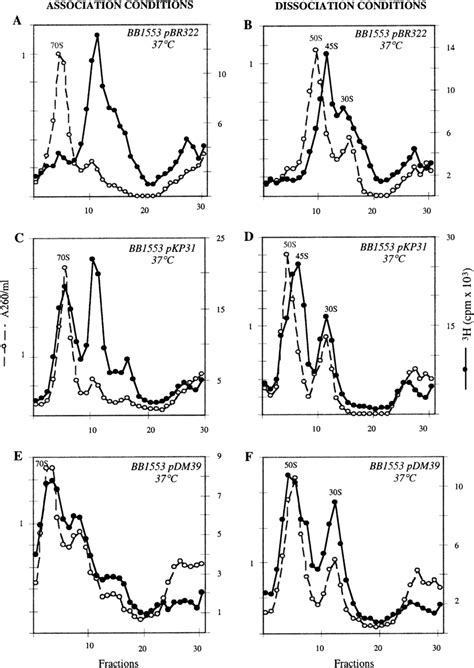 A±f Sedimentation Pro®les Of Ribosomes And Their Subunits Were Prepared Download Scientific