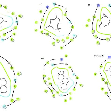 Binding Poses Showing The Interactions Of Selected Phytochemicals With