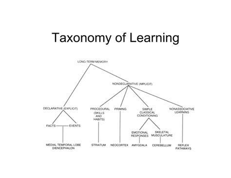 Declarative Memory Diagram Quizlet