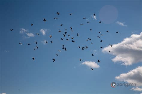 ЦАГ АГААР Ихэнх нутгаар хур тунадас орохгүй дулаарна