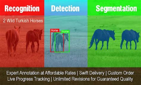 Provide Expert Image Annotation Service Detection Segmentation Localization By Roaida95 Fiverr