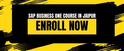 Sap Business One Course In Jaipur Thirdeye Computer Classes