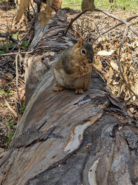 3158 Best R Berkeley Images On Pholder It Gets To A Point