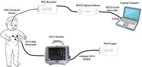 Experimental Equipment For Simultaneous Ppg And Ecg Recording Download Scientific Diagram