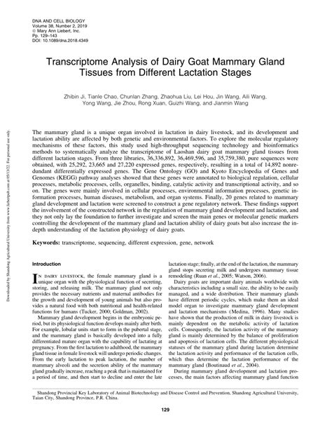 Pdf Transcriptome Analysis Of Dairy Goat Mammary Gland Tissues From