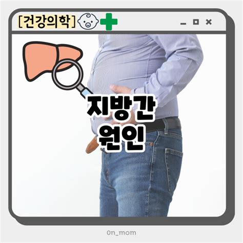 지방간 비알콜성 원인 증상 치료 약 개선 영양제 좋은음식 다이어트 네이버 블로그