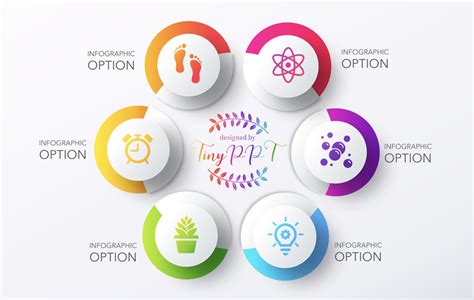 Wheel Circle Infographic