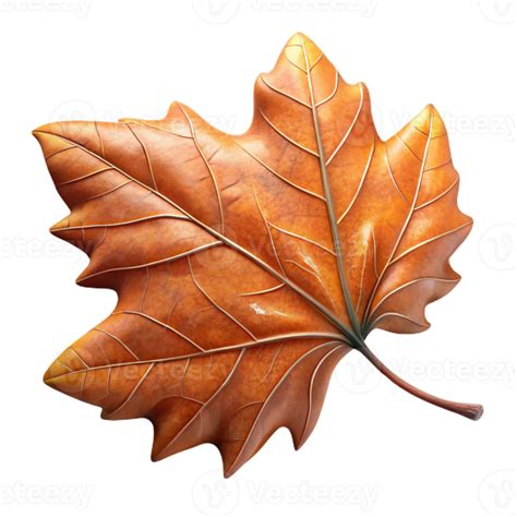 Hypnotic Joyful Retro Photorealistic Professional Render Isolated Cutout Hyper Specific