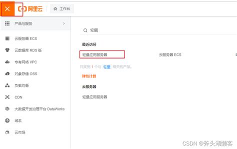 阿里云轻量服务器使用 阿里云轻量级服务器使用教程 CSDN博客