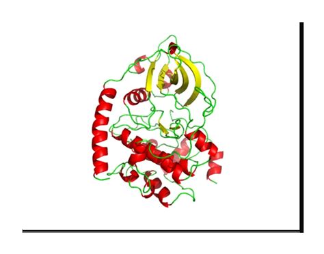 Pka Secondary Structure Quiz
