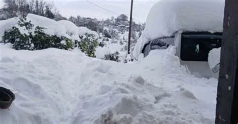 სჭირდება შველა წინააღმდეგ შემთხვევაში მსხვერპლი გვექნება უფრო დიდი ნინო ჩხობაძე გურიაში სტიქიაზე