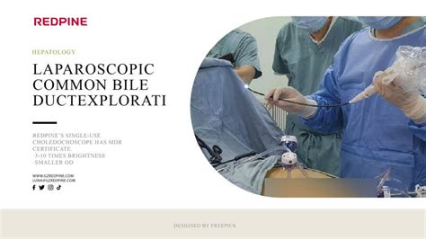 Sanusmedikal Offers Choledochoscope For European Market Sanus Medİkal Sanayİ Ve Tİcaret