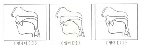 영어권 외국어로서의 한국어 교육 이론과 실제