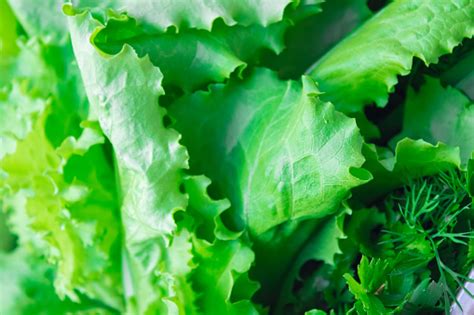 신선한 채소와 채소 밭 샐러드 딜 파슬리 양파를 흰색 대리석 테이블에 다리미컵에 넣고 복사 공간을 함께 섞는다 건강한 생활방식에 대한 스톡 사진 및 기타 이미지 Istock