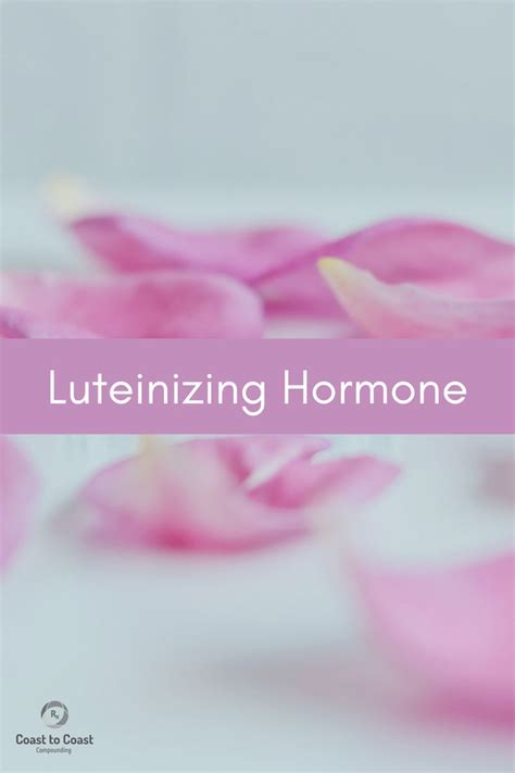Luteinizing Hormone Understanding Its Role In Reproduction