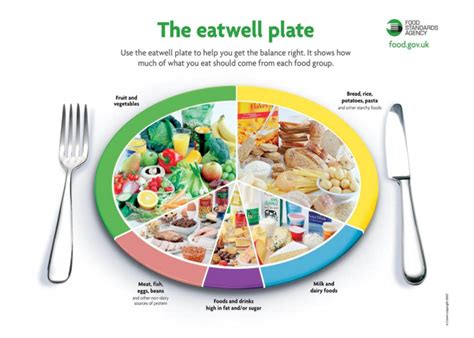 The History Of The Eatwell Guide Mybmi
