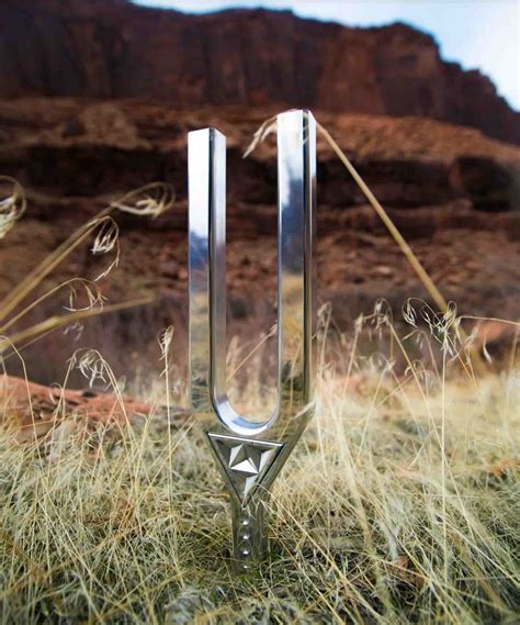 Mega Tuning Fork By Earth Tuned Didge Project