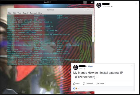 professional hacking r programmerhumor