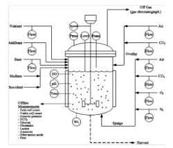 Chapter Biosystems Control Design PPT Chemical Engineering Semester Engineering