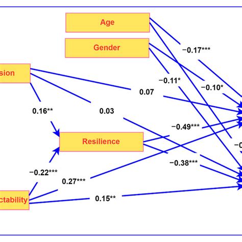 Path Analysis Model Of The Mediating Role Of Resilience P