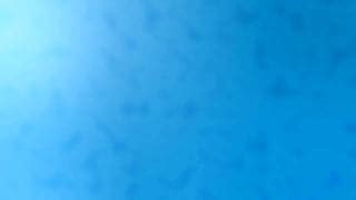 Ad Populum Logical Fallacy Improper Appeal To Practice PPT