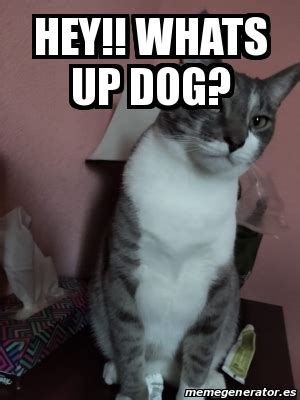 Meme Personalizado Hey Whats Up Dog 30931019