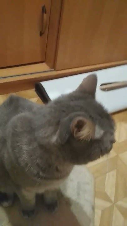 Витирайте ноги Youtube