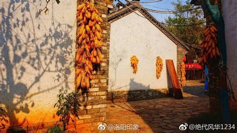 今年的洛阳网红村 倒盏村 图片来源 绝代风华1234