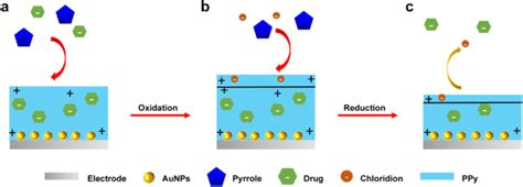 Schematic Diagram Of The Drug Delivery Electrode And Electrically