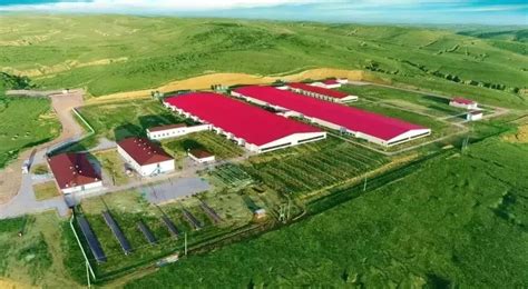 喜讯正大正缘现代化种猪示范场获得2018年安佑杯中国美丽猪场称号 养殖