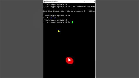 How To Identify 🤔 File And Directory In Linux 🤩 Rhelcentosubuntu Linux Shorts