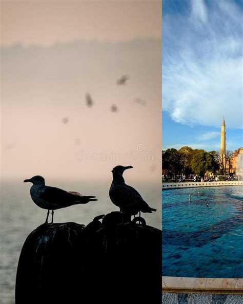 Stack Of Istanbul Turkey Travel Images Nature And Architecture