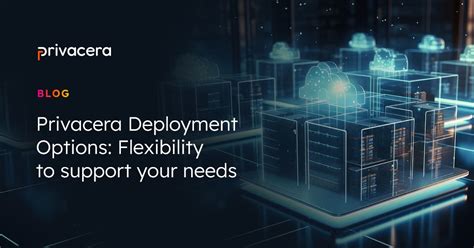 how our dataaccess governance platform can help privacera posted on