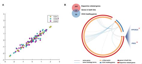 figure multivariate correlations between dnam of cca loading genes and