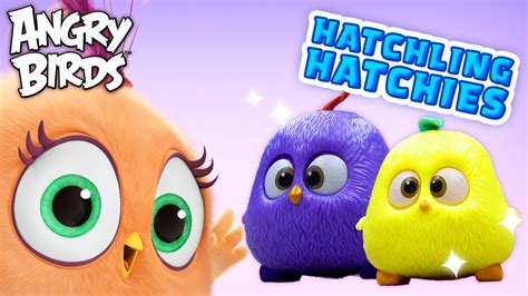 Angry Birds Hatchling Hatchies Friendship 💓 Youtube