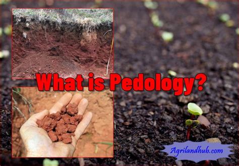 What Is Pedology Komponen Proses Methods And Techniques