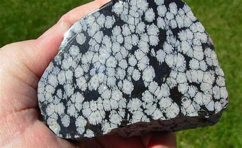 Snowflake Obsidian Exploring The Delicate Intricacies Of Volcanic Elegance