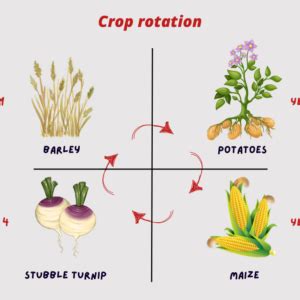 Crop Principles Mr Ag