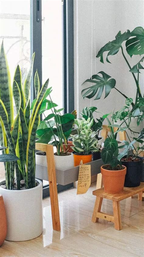 What Is A “lazy Day” Studies Show A “lazy Day” Has Numerous Health