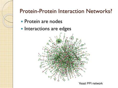 Ppt Ppi Network Alignment Powerpoint Presentation Free Download Id
