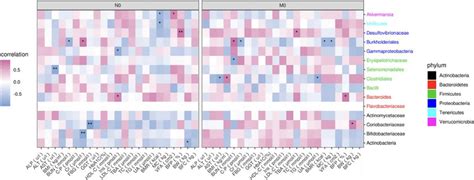 Heatmap Analysis Of The Correlation Between The Gut Microbiota At The