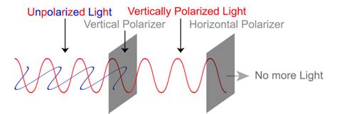 Cross Polarization What It Is And Why It Matters Petapixel Cross Polarization What It Is And Why It Matters Petapixel