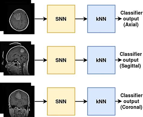 Experimental Set‐up For Modality‐wise Training And Classification Of Download Scientific