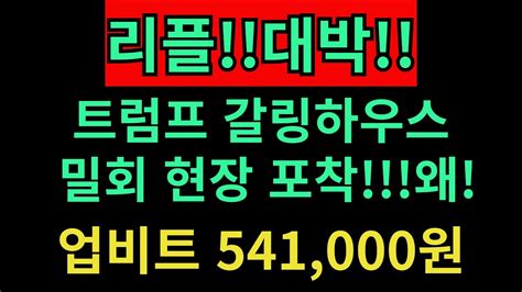 리플 트럼프가 약속했습니다 끌어주기로 미국코인 만세 Youtube