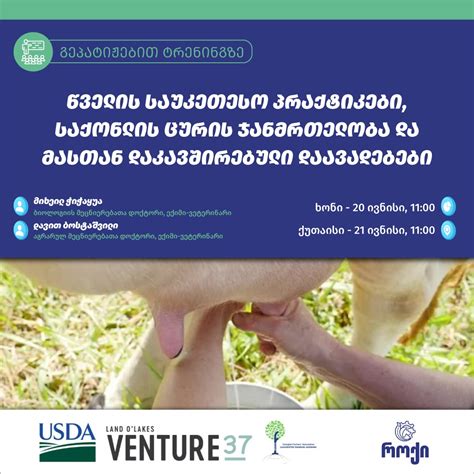 წველის საუკეთესო პრაქტიკები საქონლის ცურის ჯანმრთელობა და მასთან დაკავშირებული დაავადებები