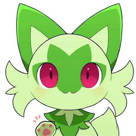 Sprigatito Photo Pokémon Desenho Pokemon Desenho