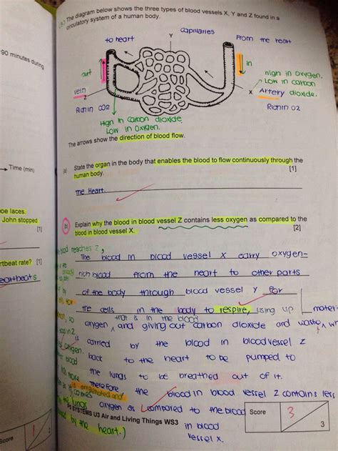 Rgps P5 Science File Notes Worksheets Raffles Girls Topical Revision