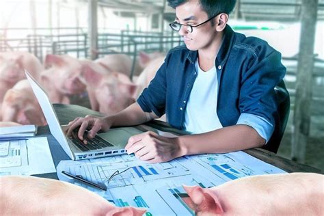 Pdf Sample Business Plan For Pig Farming Docx
