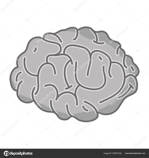 Grayscale Human Brain Anatomy Creative Intellect Vector Illustration